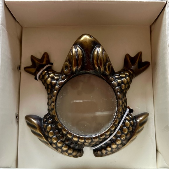 Pier 1 | Office | Vintage Brass Frog Paperweight Magnifying Glass ...
